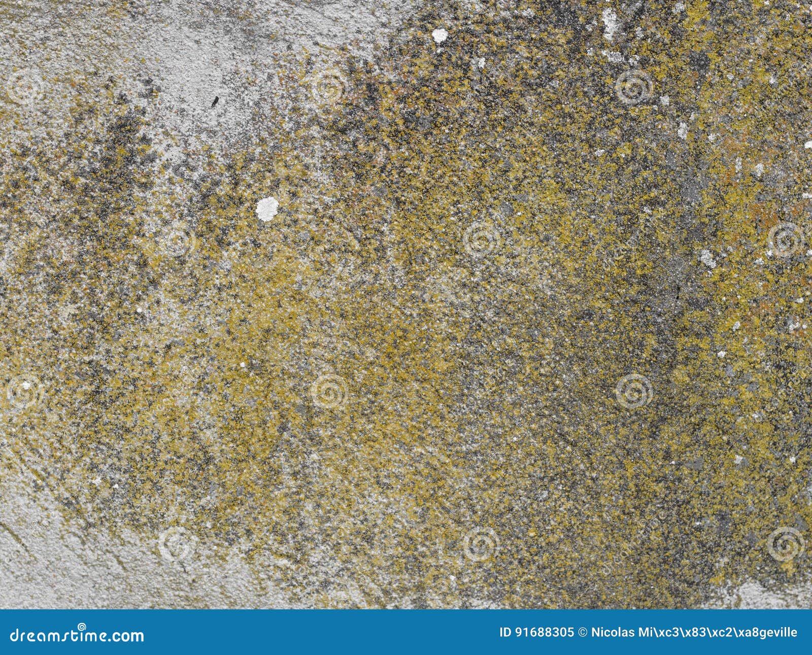 Texture wall dirty yellow stock image. Image of background - 91688305