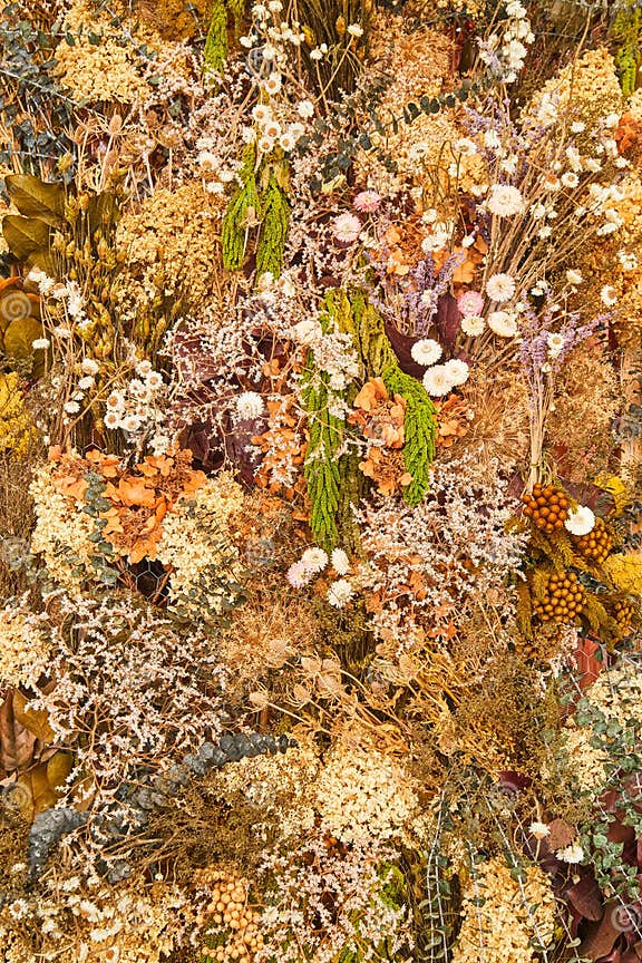 Texture Wall of Fall Plants and Flowers Stock Image - Image of yellow ...