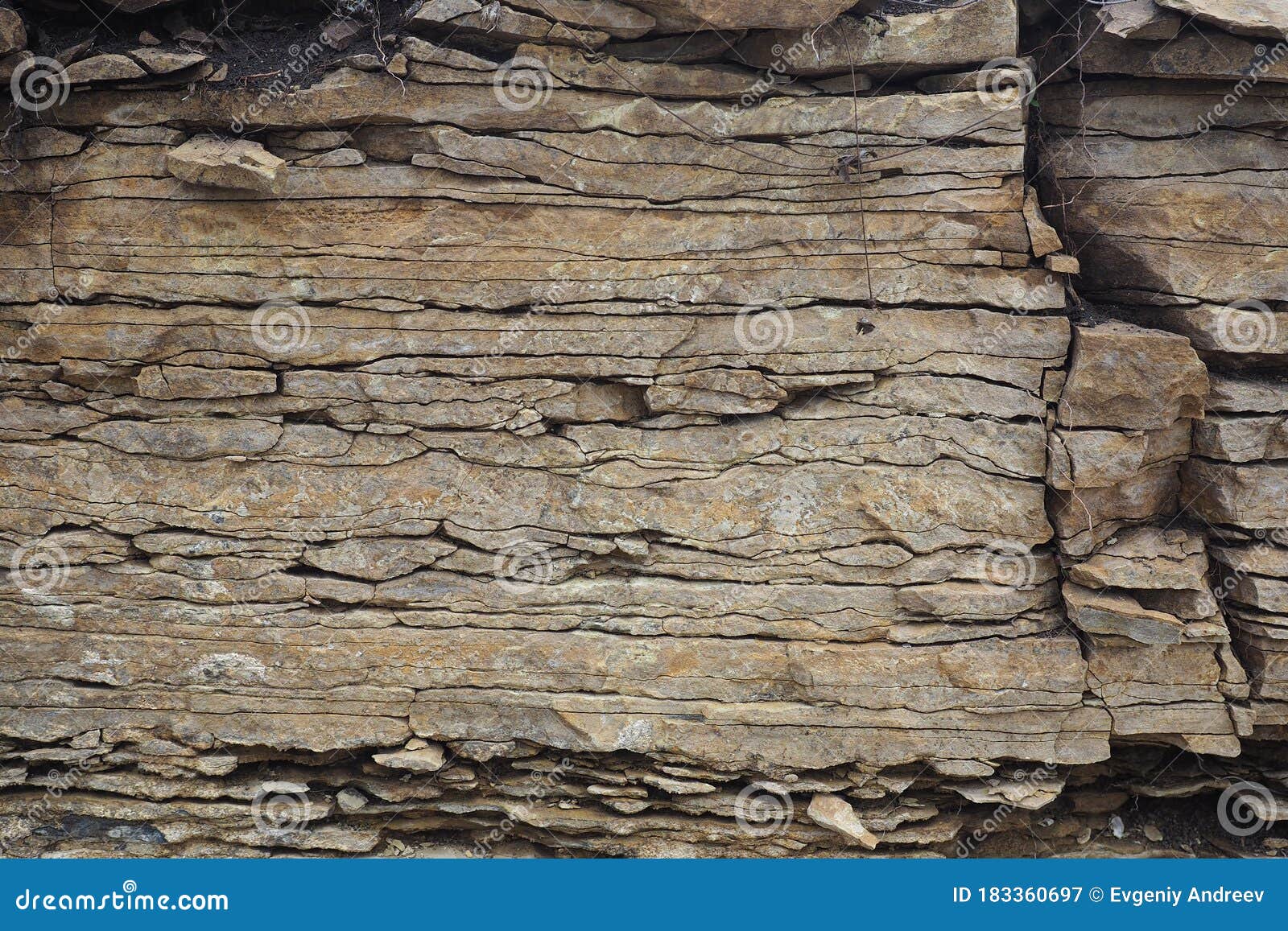 The Texture of the Wall is Made of Natural Flagstone. Background for ...