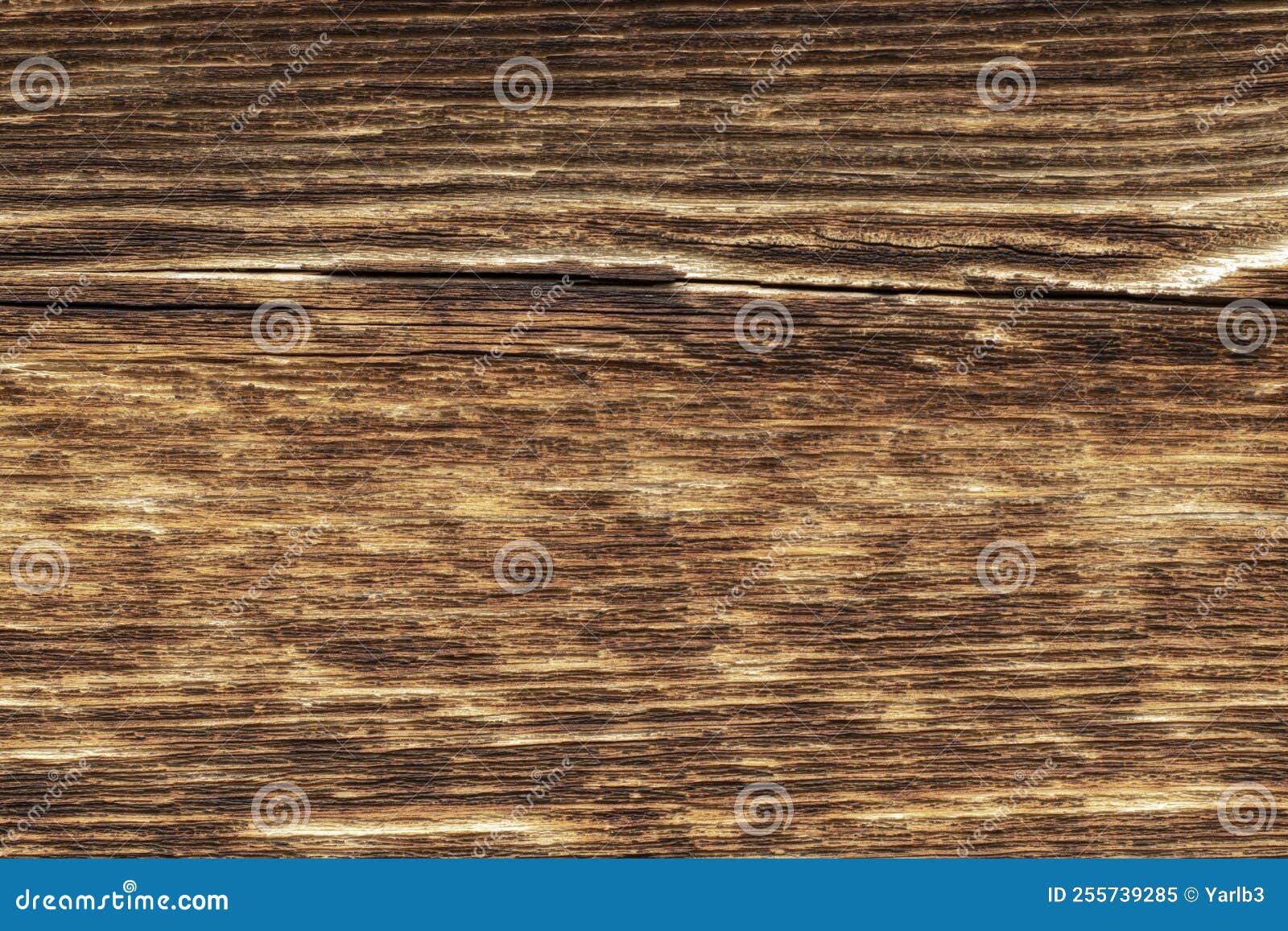 Texture of a Wall Made of Sun-bleached Wood Stock Image - Image of ...