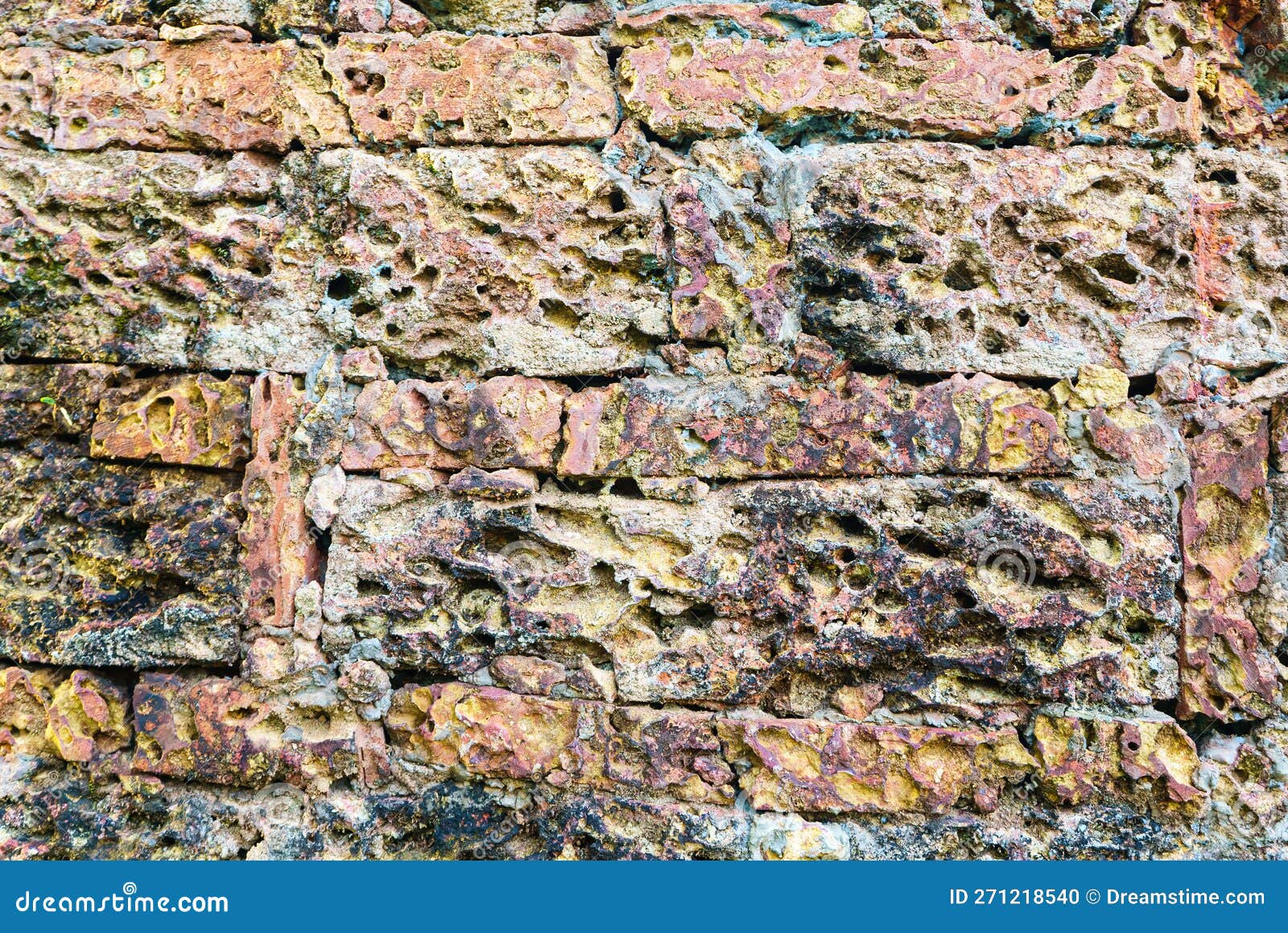 Texture of the Wall with Shell Material Stock Photo - Image of ...