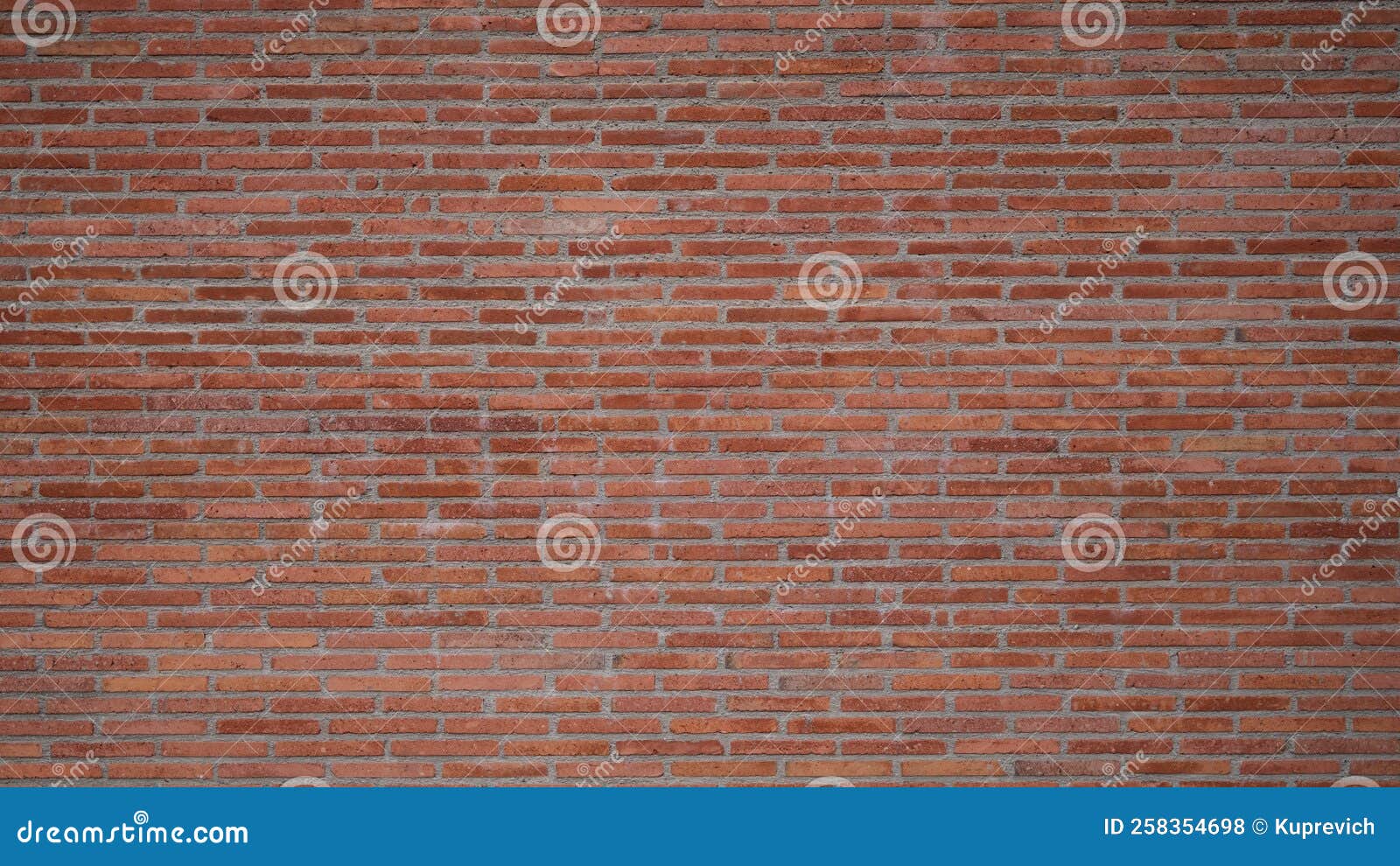 Texture of the Wall of Thin Long Red Bricks Stock Photo - Image of rock, masonry: 258354698