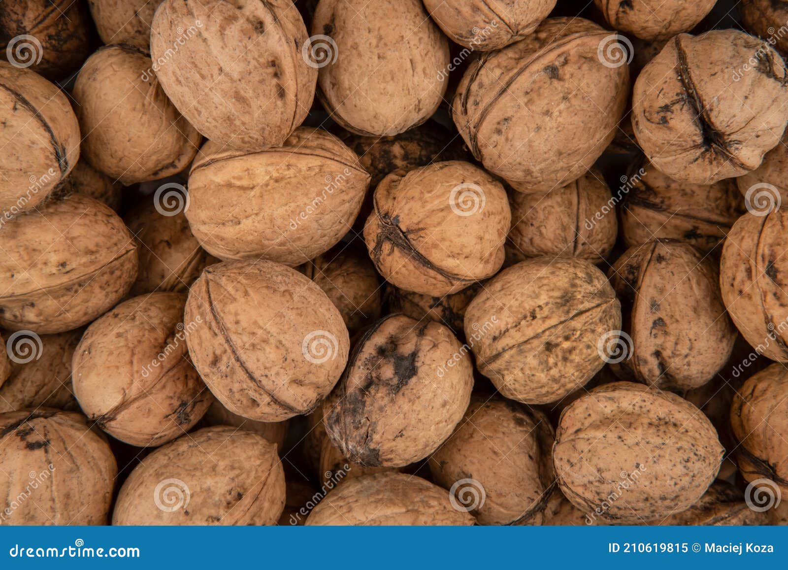 The Texture of Walnuts - Close-up of Walnuts in the Shell Stock Image ...