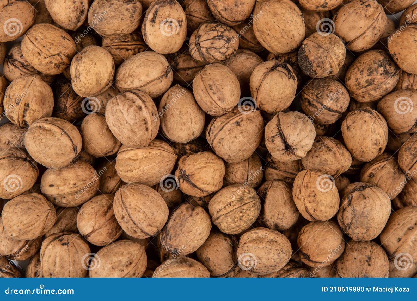 The Texture of Walnuts - Close-up of Walnuts in the Shell Stock Photo ...