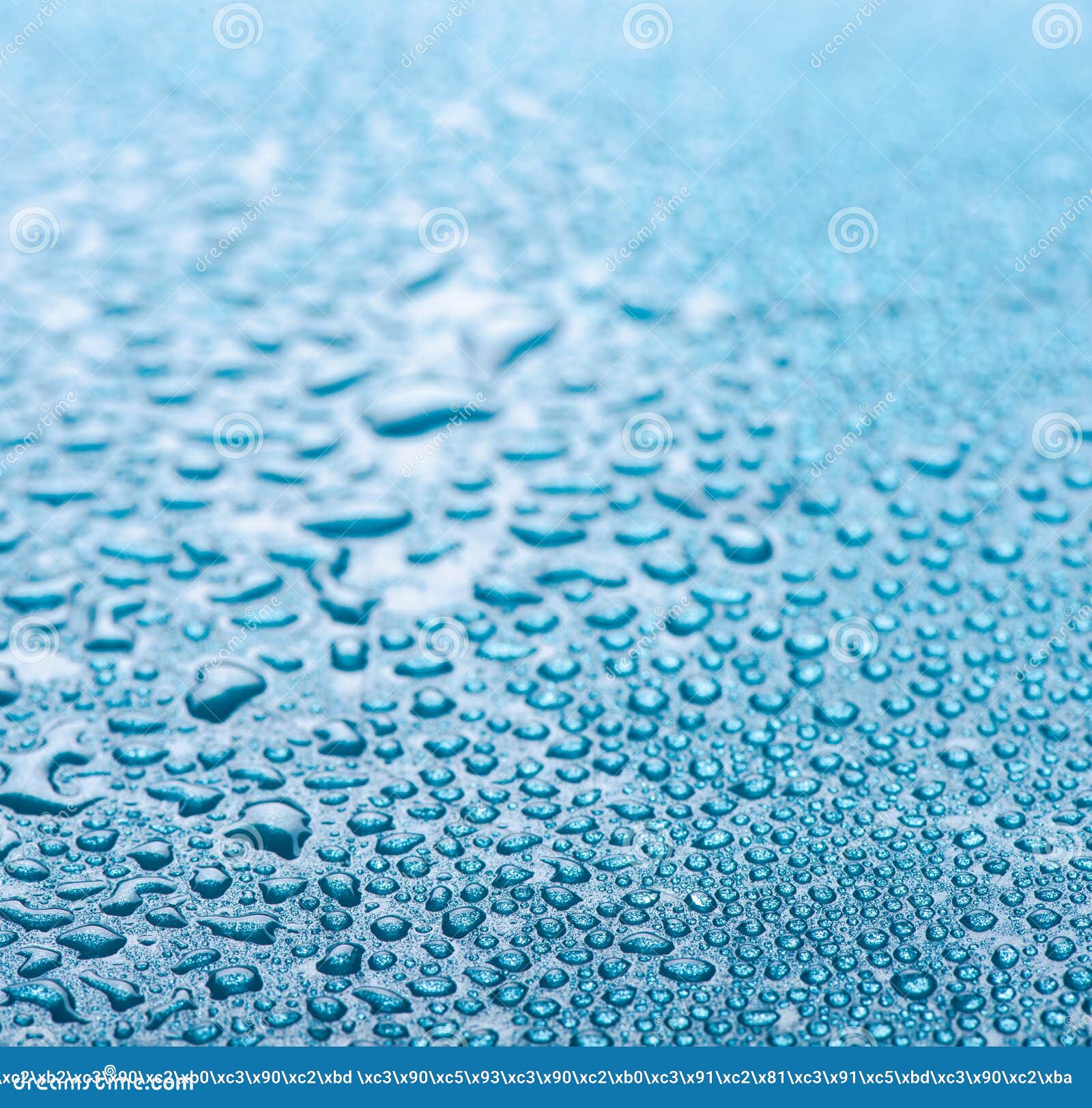 Texture of Water Droplets. Water Drops Close Up. Drops on the Surface ...