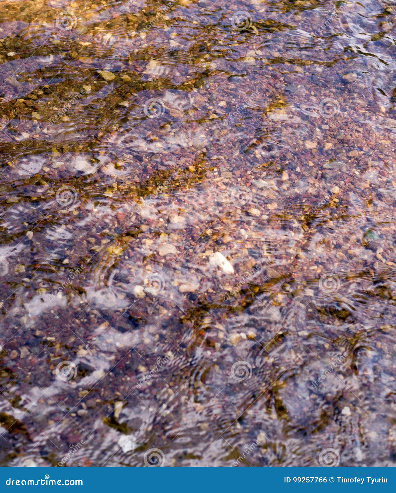 Texture of Water in River with Sandy Bottom. Background, Nature. Stock ...