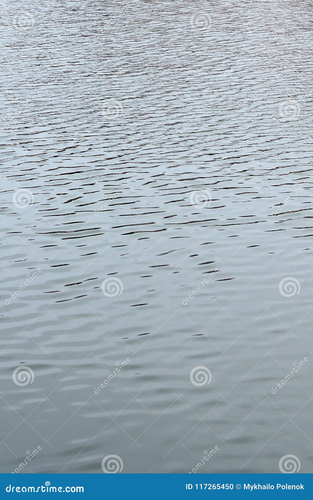 The Texture of the Water in the River Under the Influence of Wind. a ...