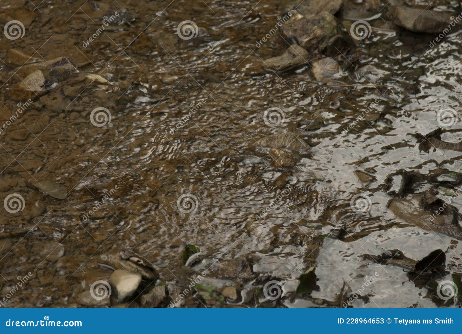 River Bottom Texture