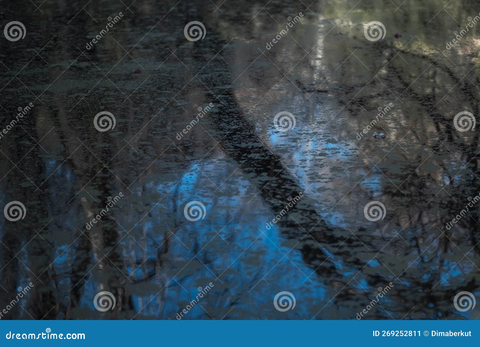 Texture of the Water Surface of a Forest Pond Stock Image - Image of ...