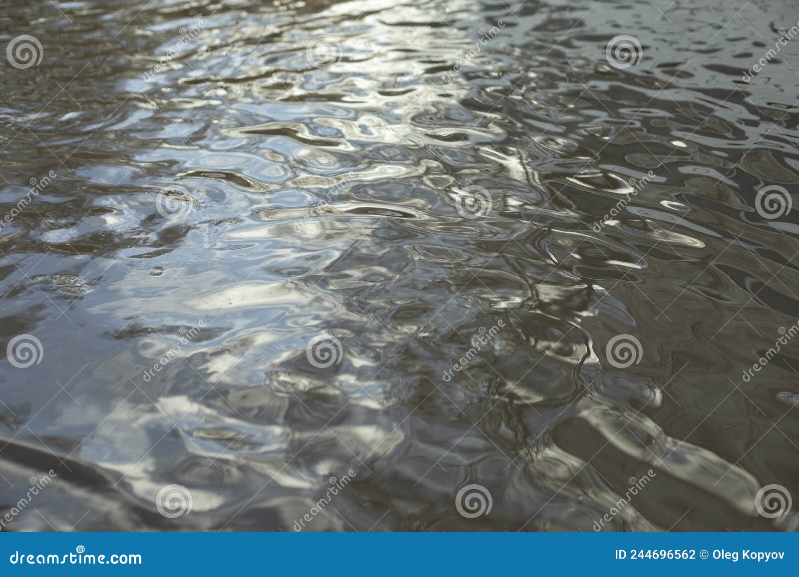 Small Puddle Of Water