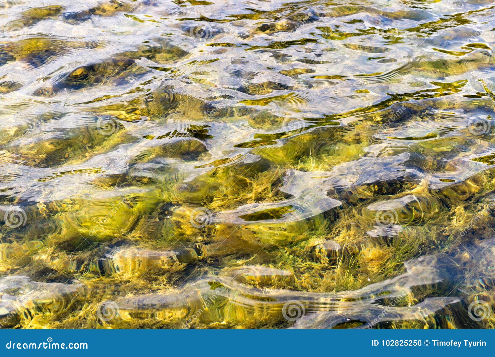 Texture of Water in Tiled Pool. Background, Nature. Stock Photo - Image ...