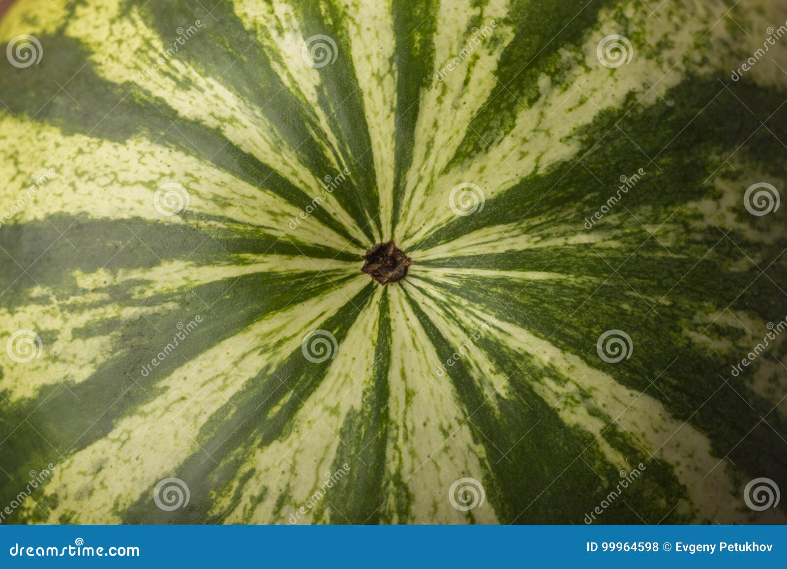 The Texture of the Watermelon Rind. Close-up Stock Photo - Image of ...