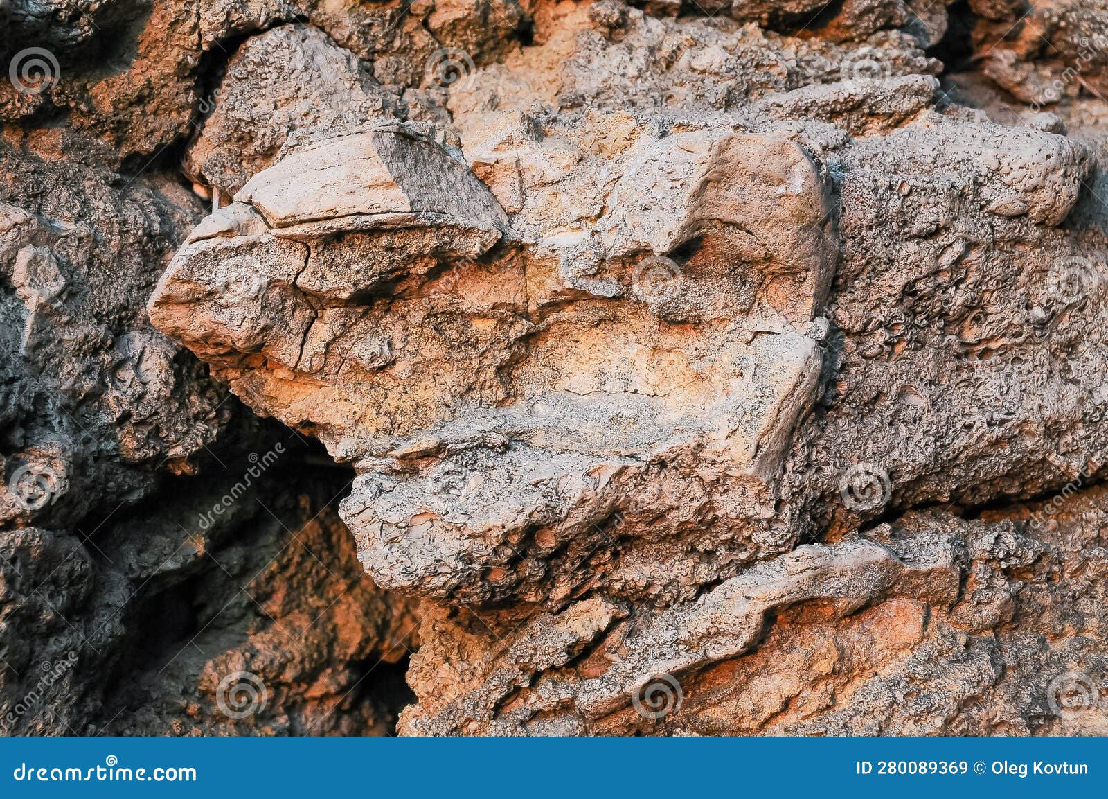 The Texture of the Wave-polished Stone Coast of Pontic Limestone in the ...