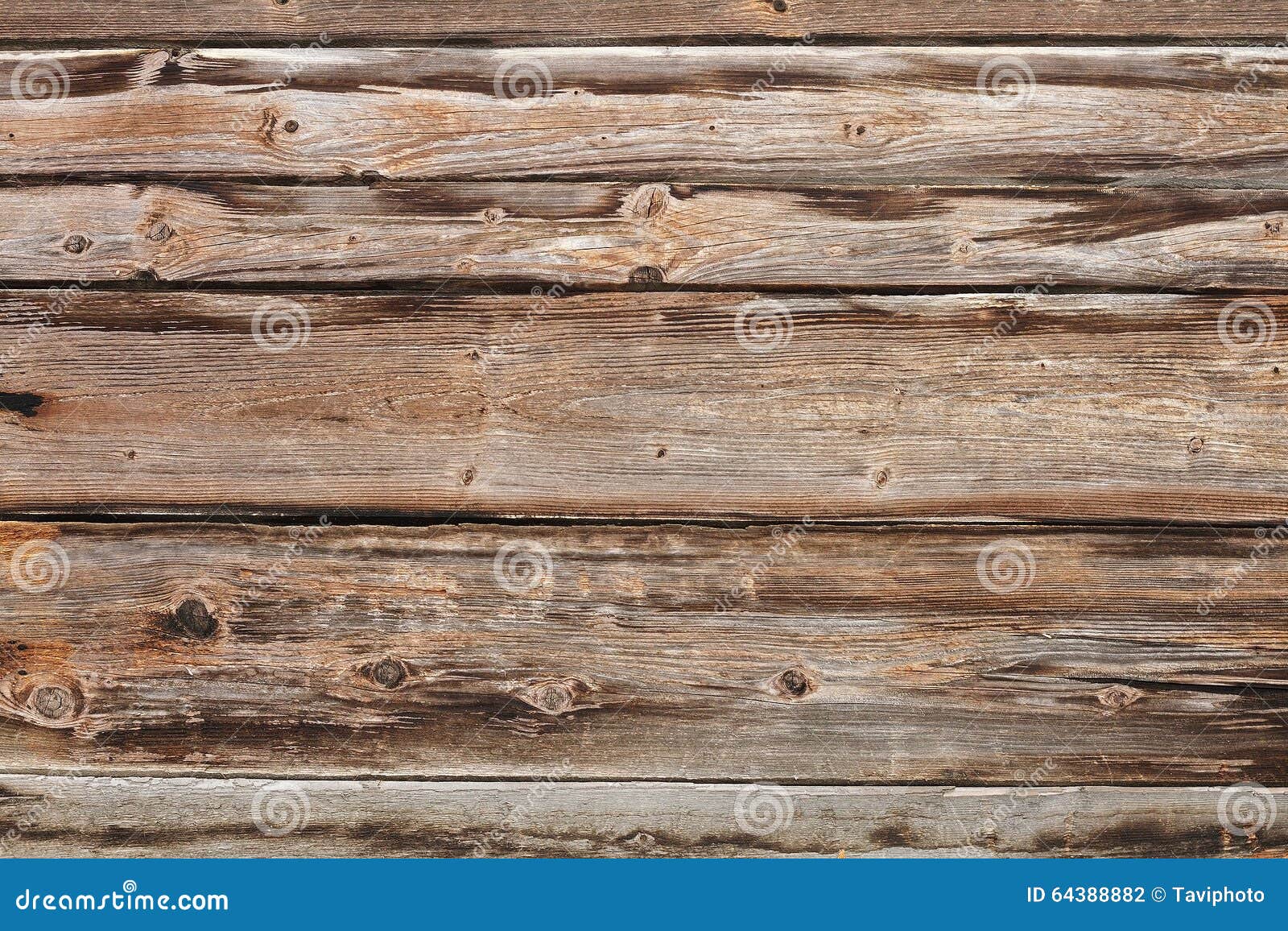 Texture of Weathered Spruce Planks Stock Photo - Image of decorative ...