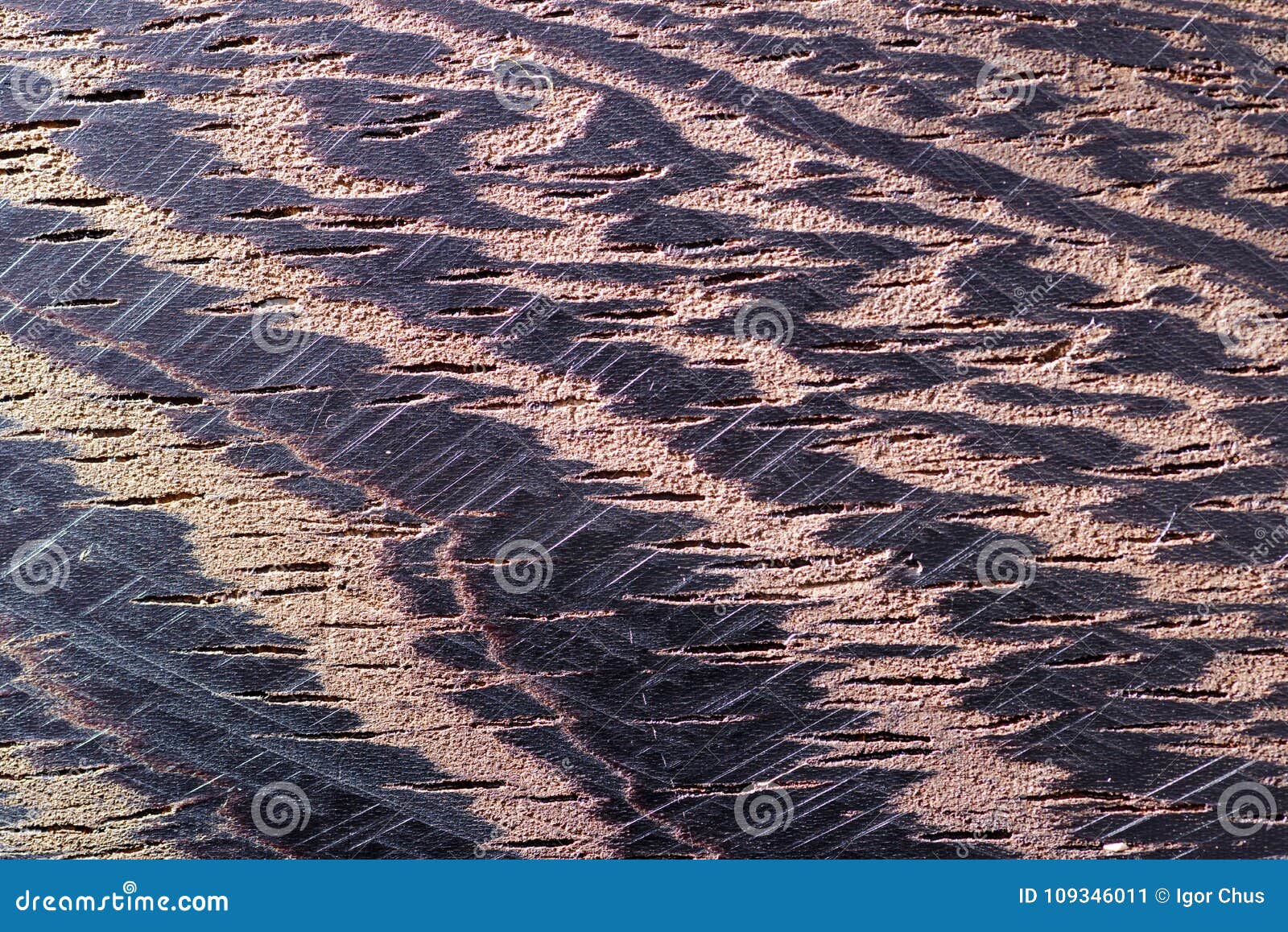 Texture of a Wenge Tree Shot on a Macro Lens 2018 Stock Image - Image ...