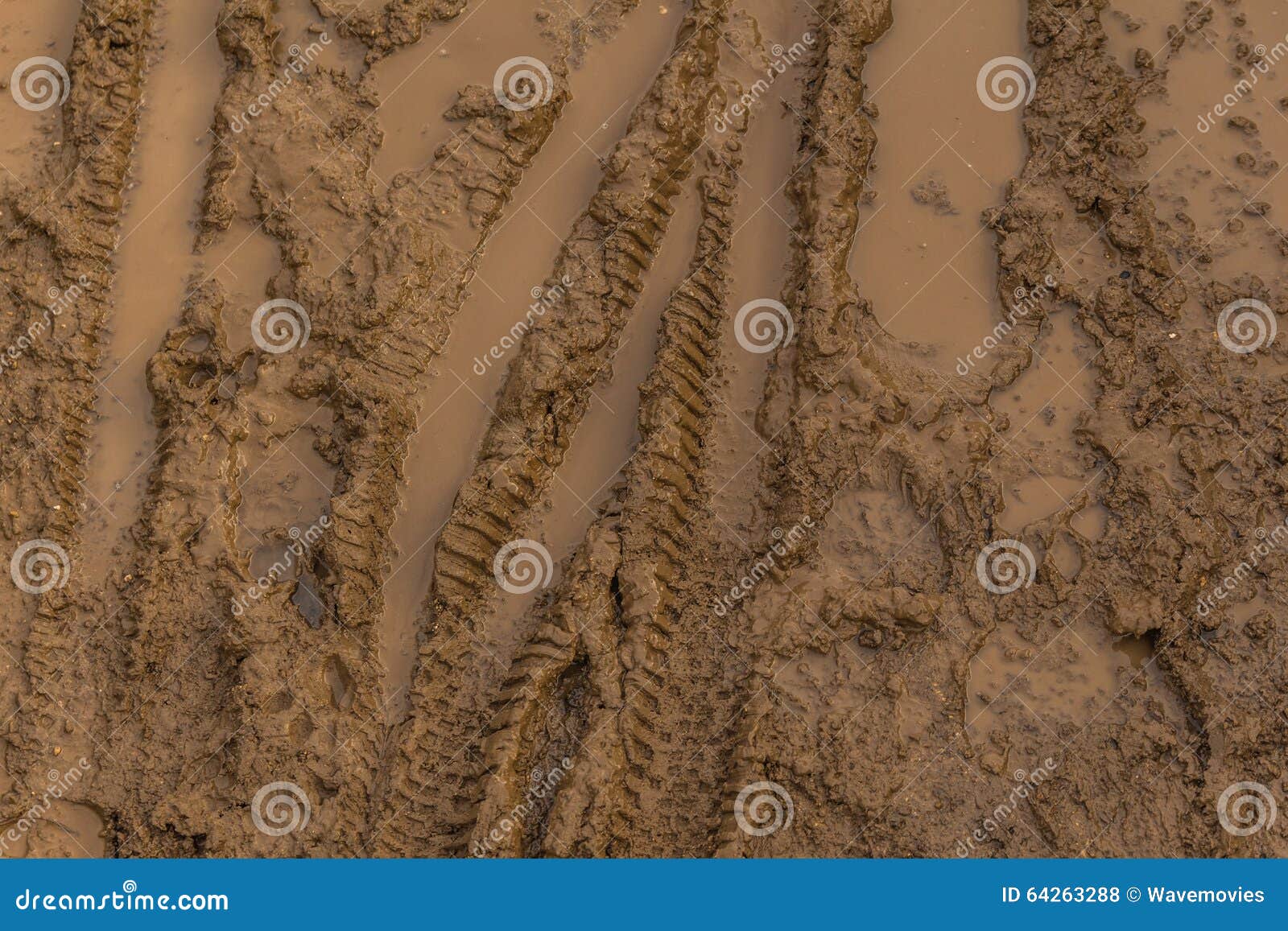 Texture of Wet Brown Mud with Bicycle Tyre Tracks Stock Photo - Image ...
