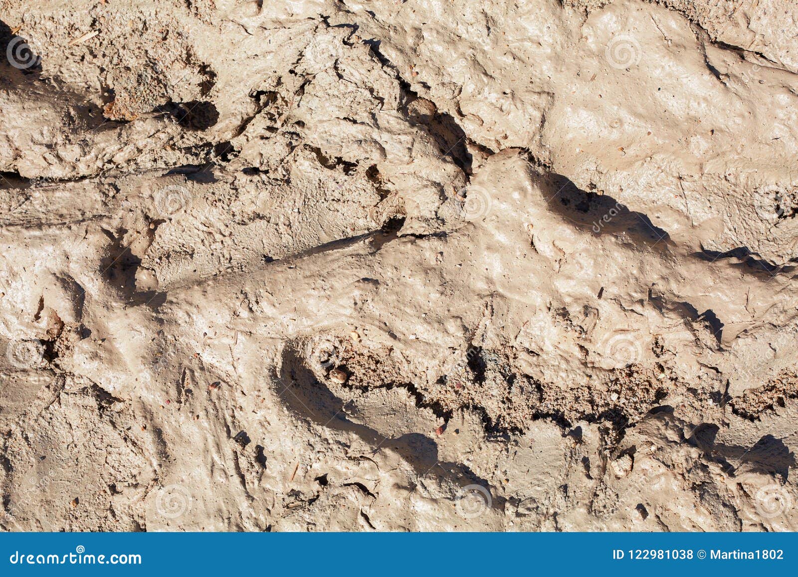 Texture of wet clay stock photo. Image of environment - 122981038