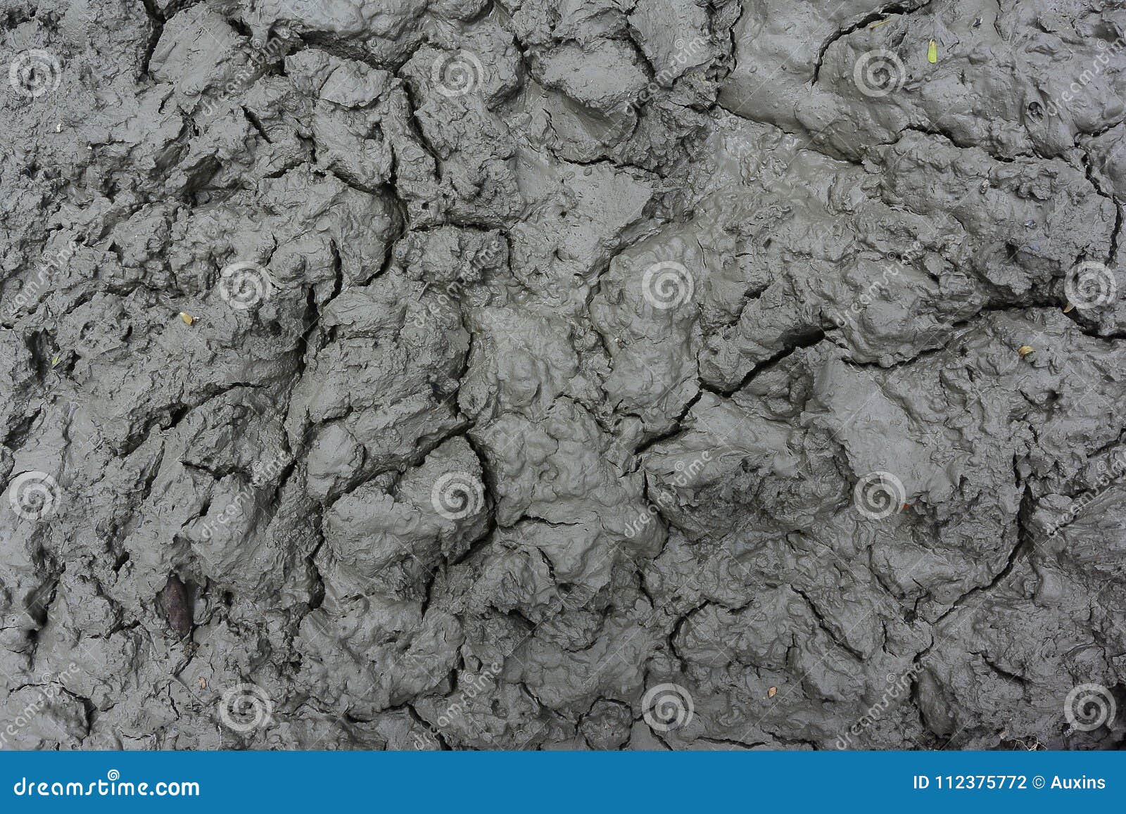 The Texture of Wet Mud, Ground Structure is Rich in Various Mine Stock ...