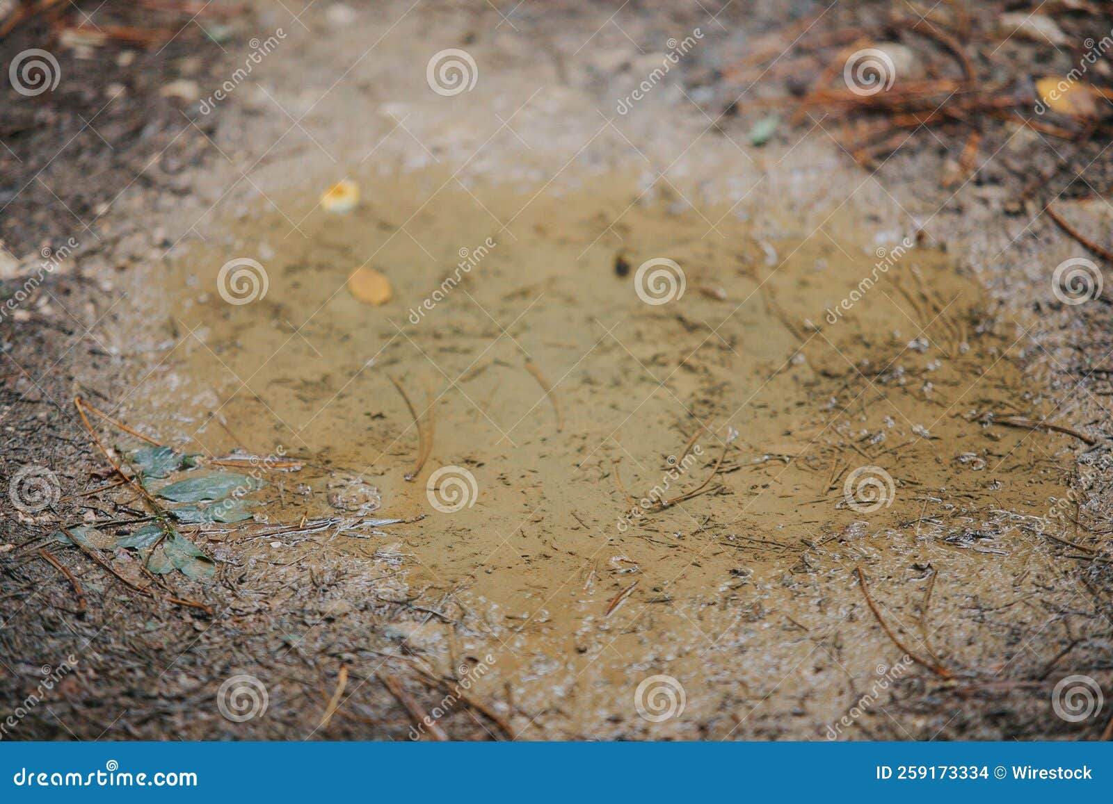 Texture of a Wet Muddy Pothole on a Ground Stock Photo - Image of ...