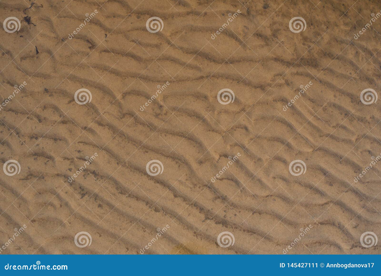 Texture of wet sand stock image. Image of reflection - 145427111