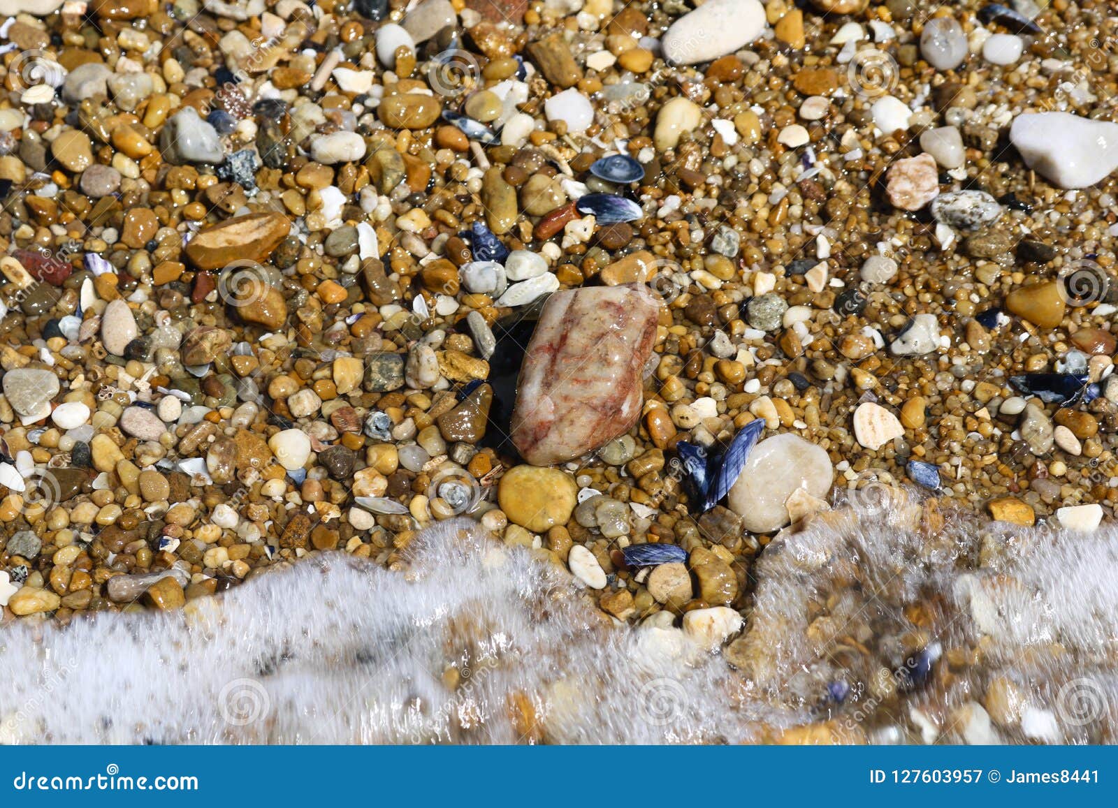 Texture of Wet Sea Sand and Stones Stock Image - Image of rocks ...