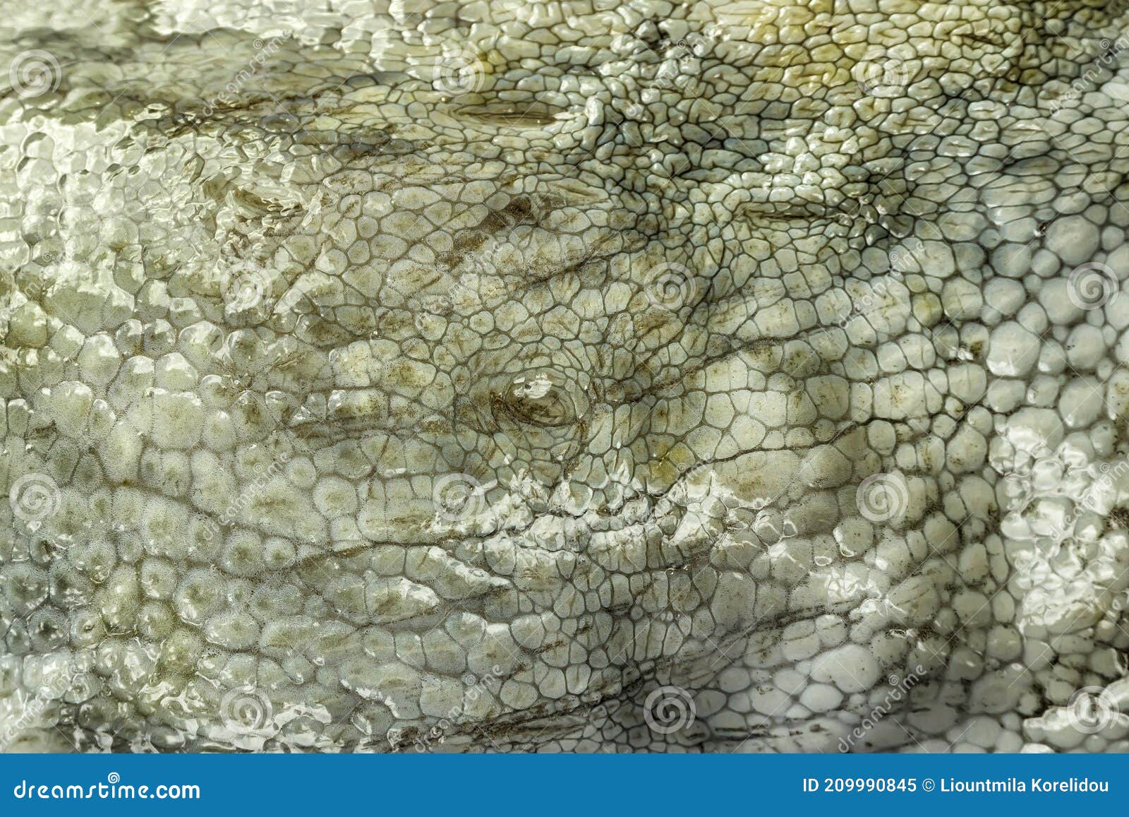 A Large Toy Octopus Sits In The Water And Holds A Boat With Tentacles ...