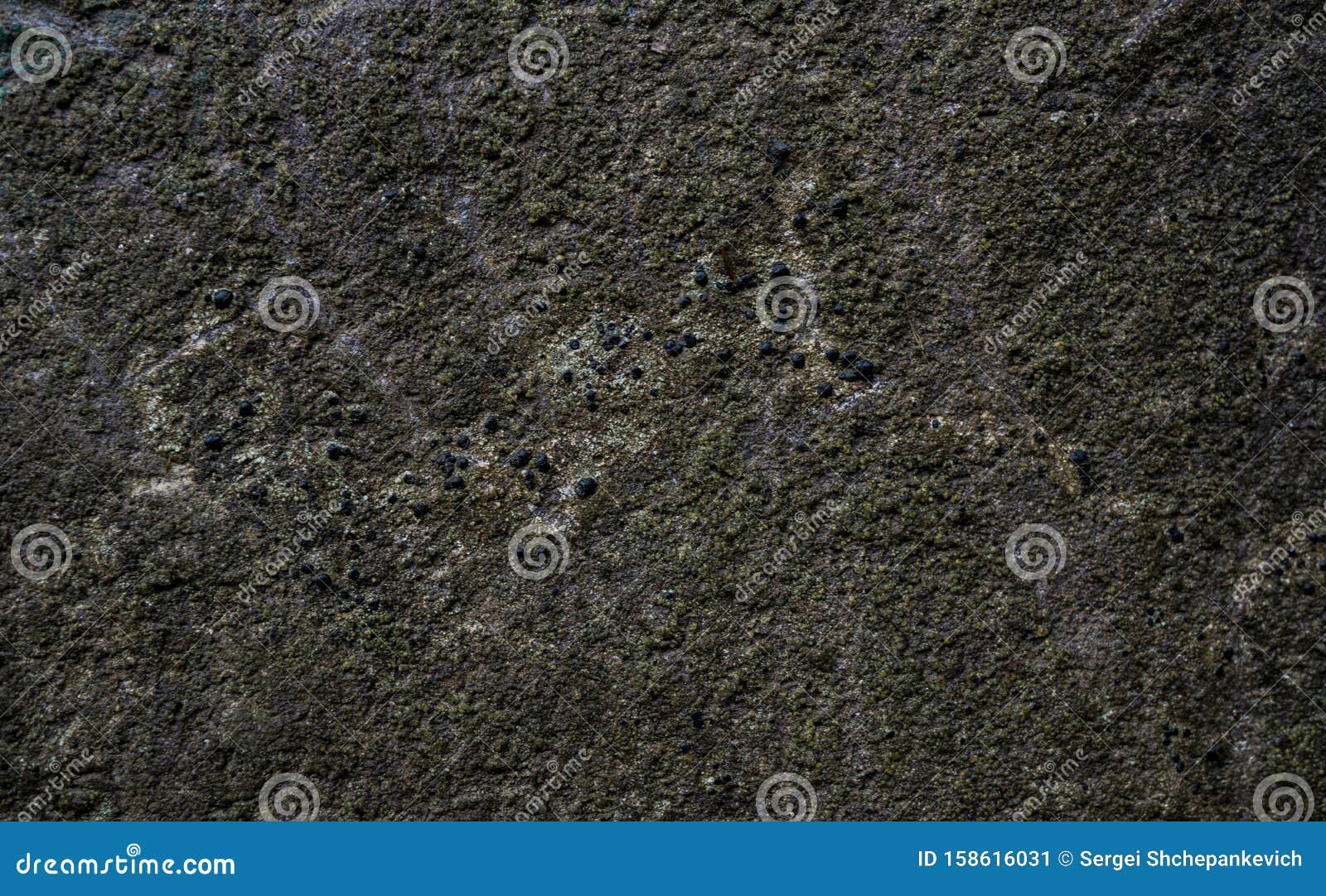 Texture of Wet Stone Covered with Moss Stock Image - Image of moist ...
