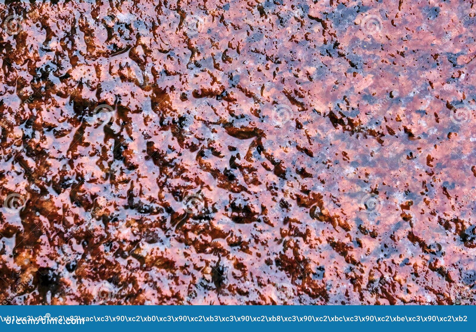 Texture of Wet Stone Tiles General Plan Color Stock Image - Image of ...