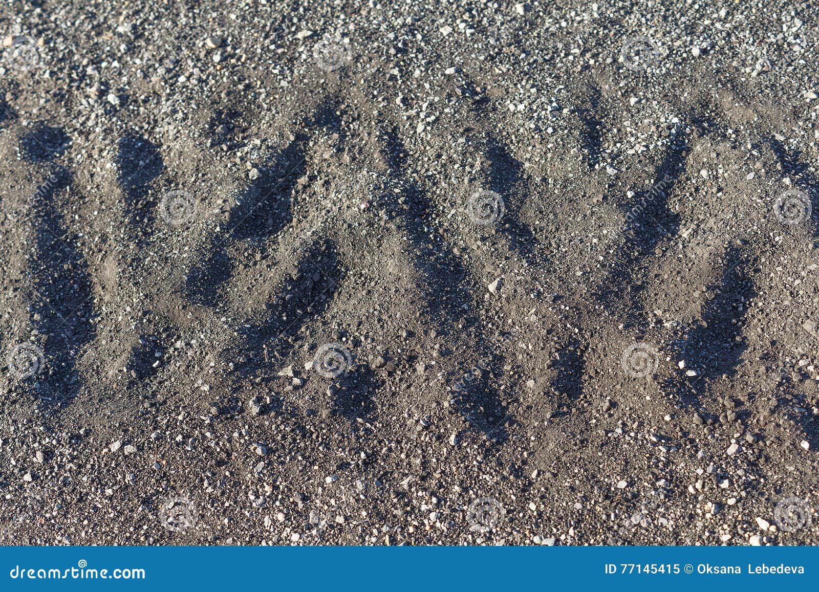 Texture stock image. Image of ground, line, track, texture - 77145415