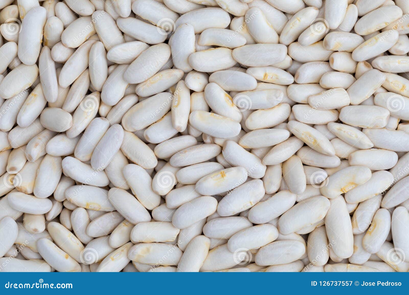 Texture of White Beans Fabes. Stock Image - Image of agriculture, grain ...