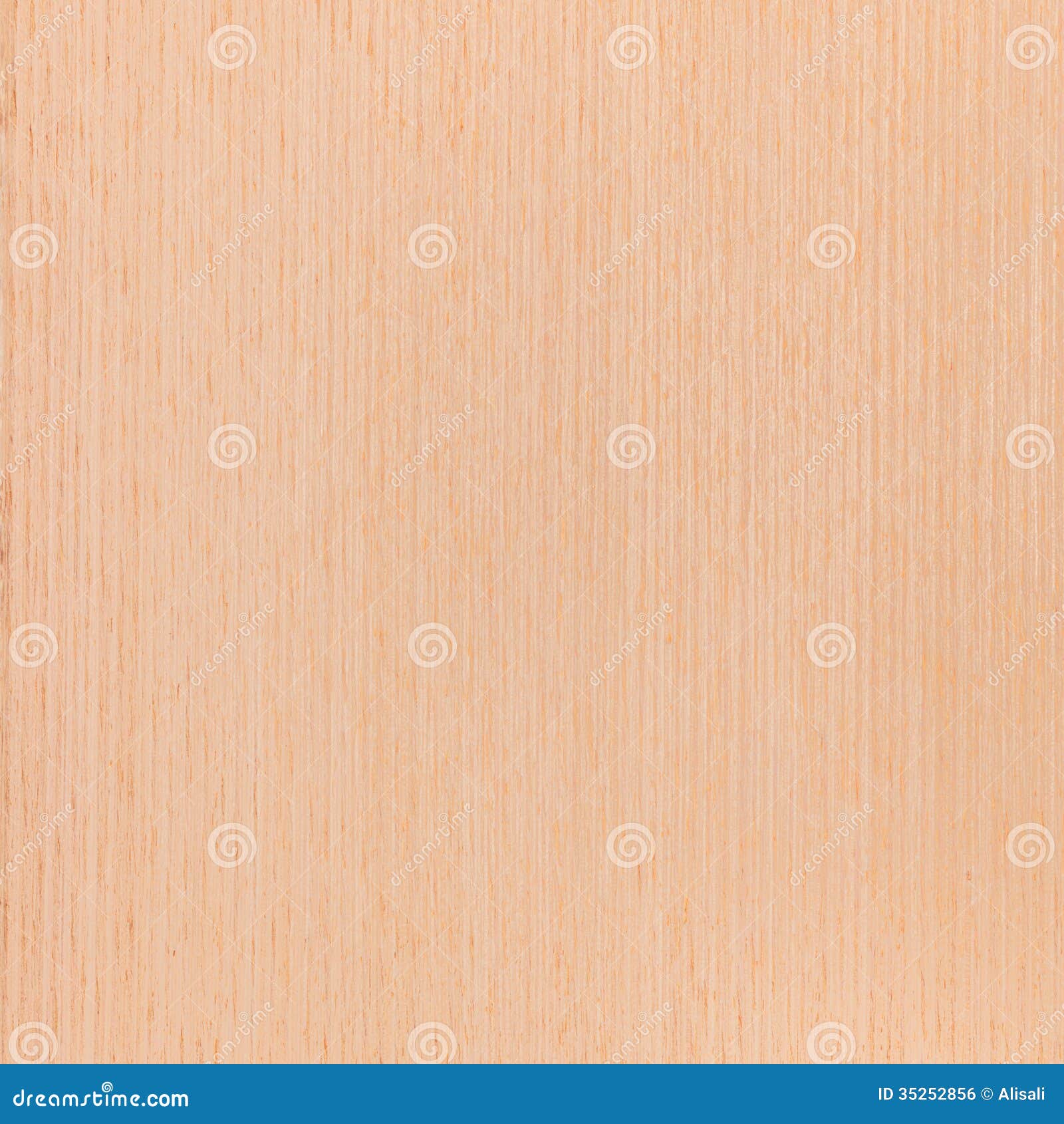 Texture white beech stock photo. Image of grunge, backdrop - 35252856