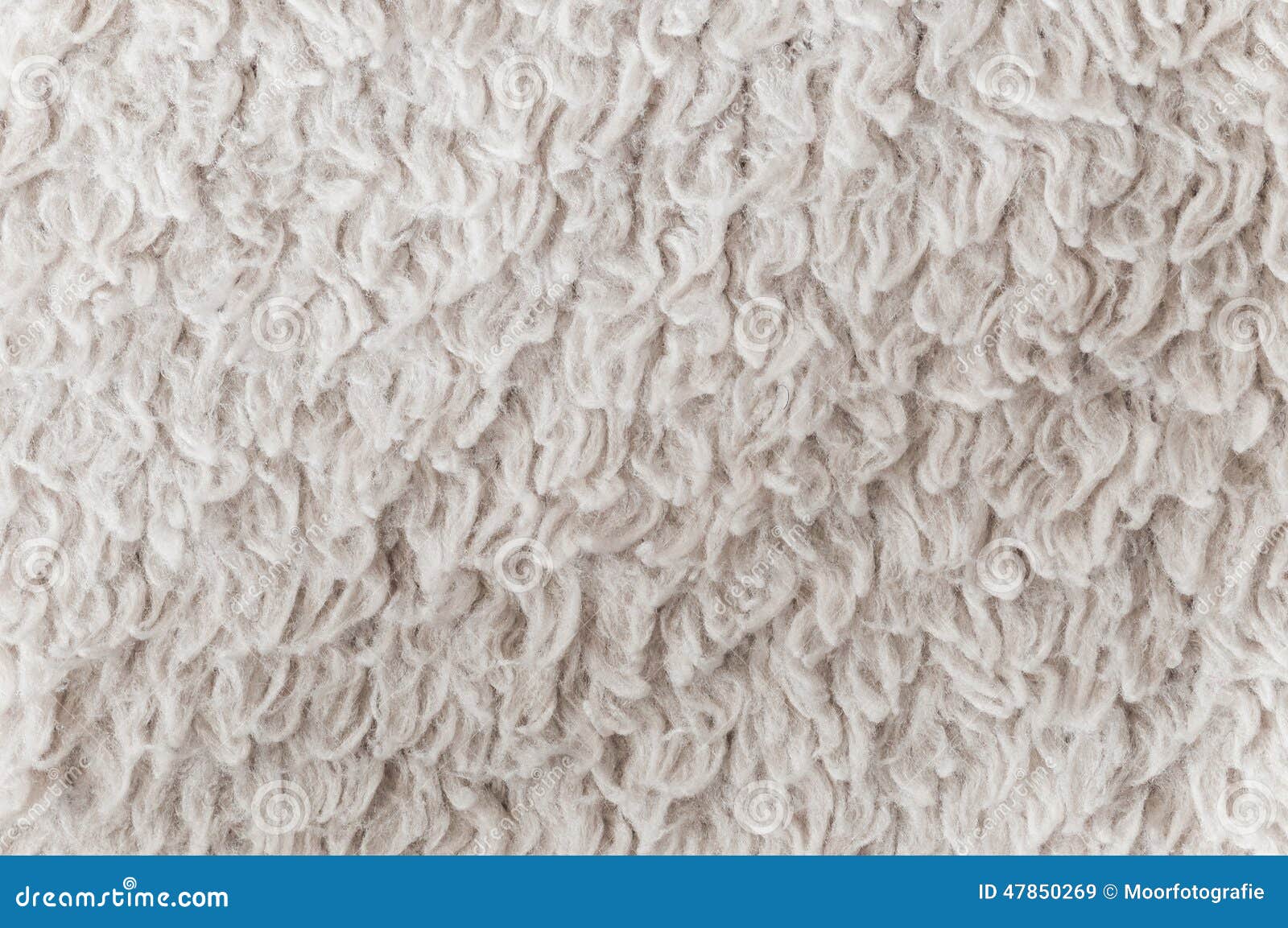 Texture of a white carpet stock image. Image of nylon - 47850269