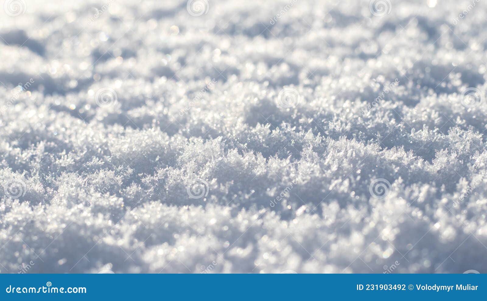 Texture of White Fluffy Snow in Sunny Weather, Snow with a Large ...