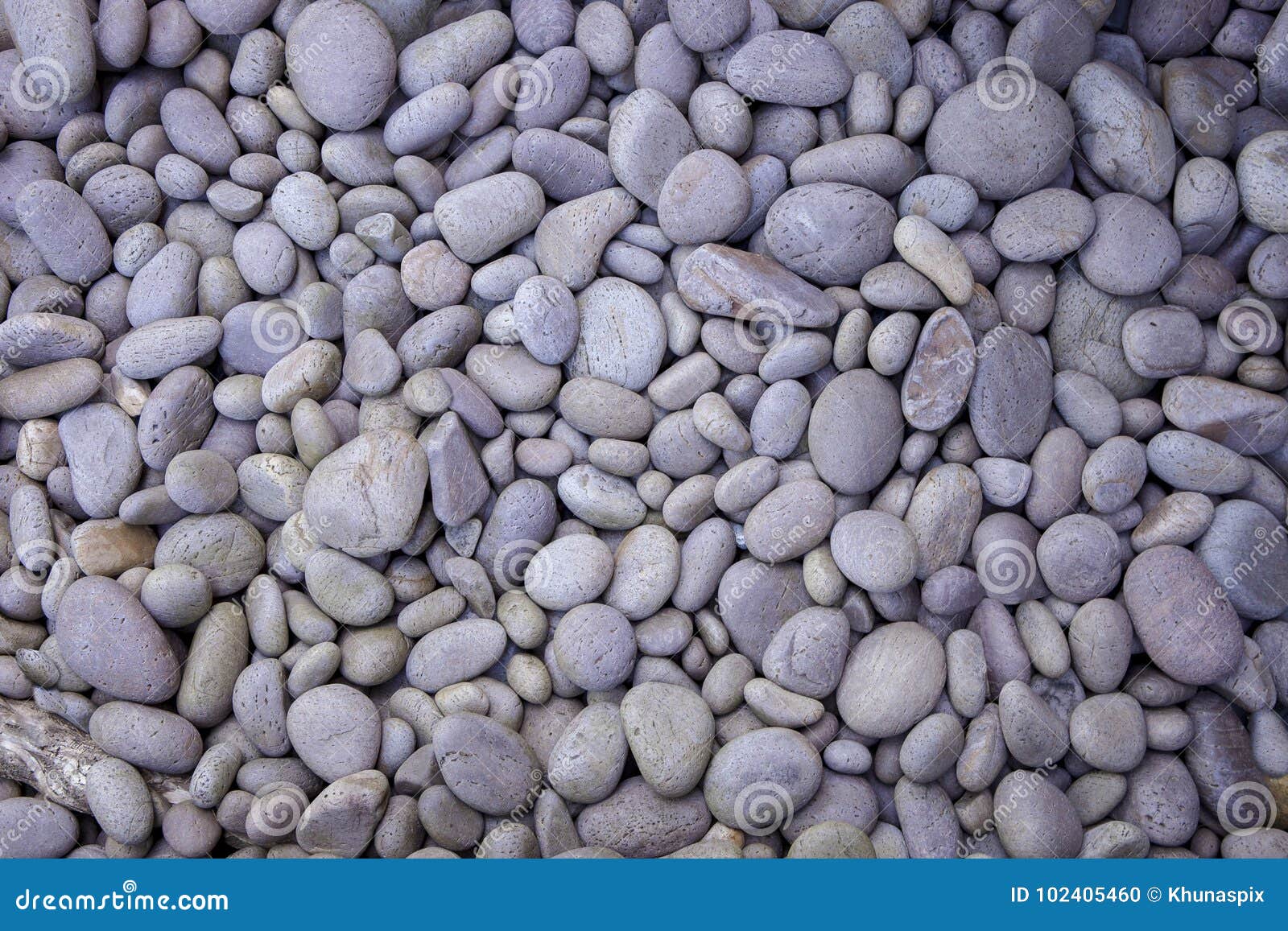 White Gravel Texture Stock Image | CartoonDealer.com #44216899