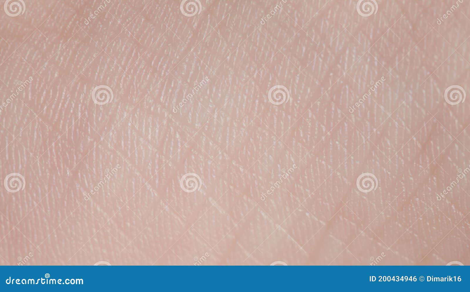 White Human Skin Texture