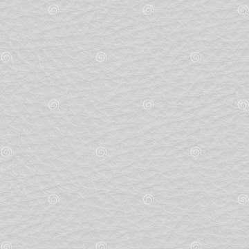 Texture White Leather. High Resolution Texture Stock Image - Image of ...