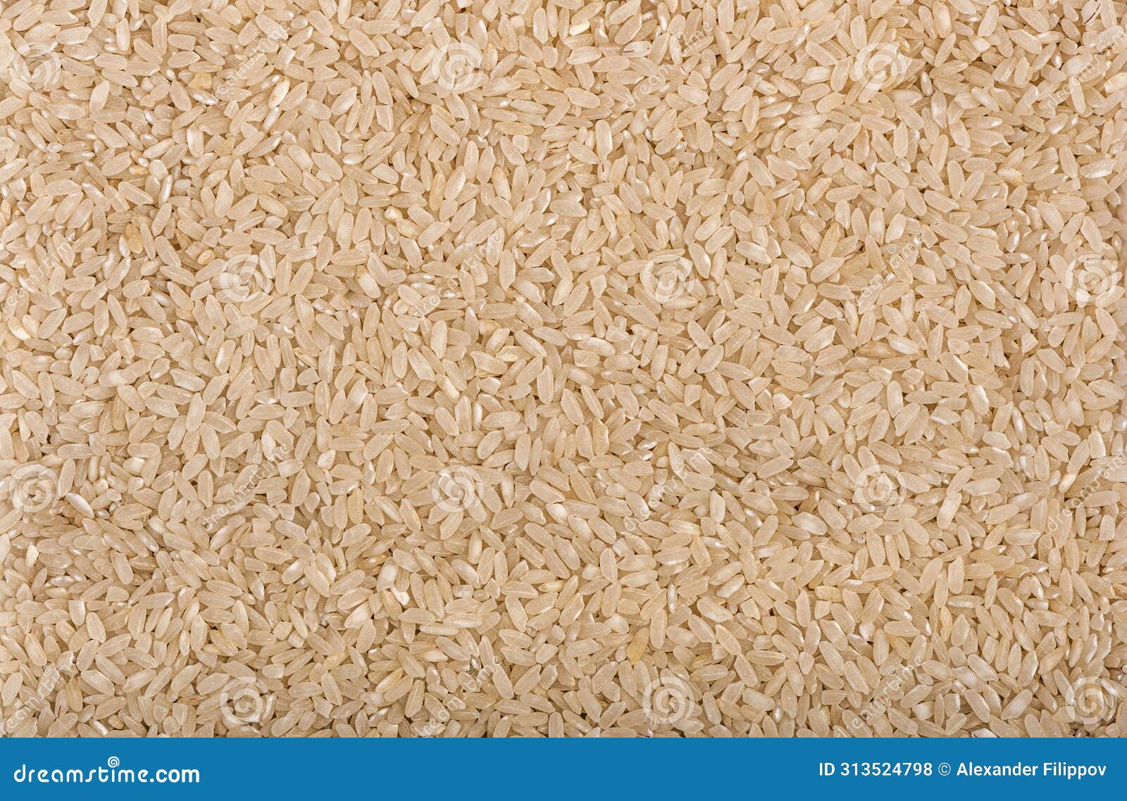 The Texture of White Long Grain Polished Rice Scattered on a Flat ...