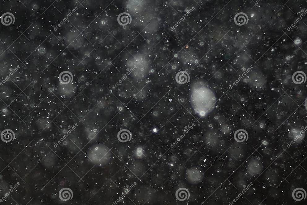 Texture of White Rain Drops Stock Photo - Image of processing, drop ...