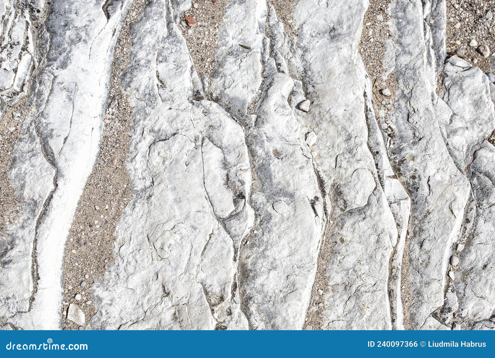Texture of White Sandstone on the Beach during the Day Stock Photo ...