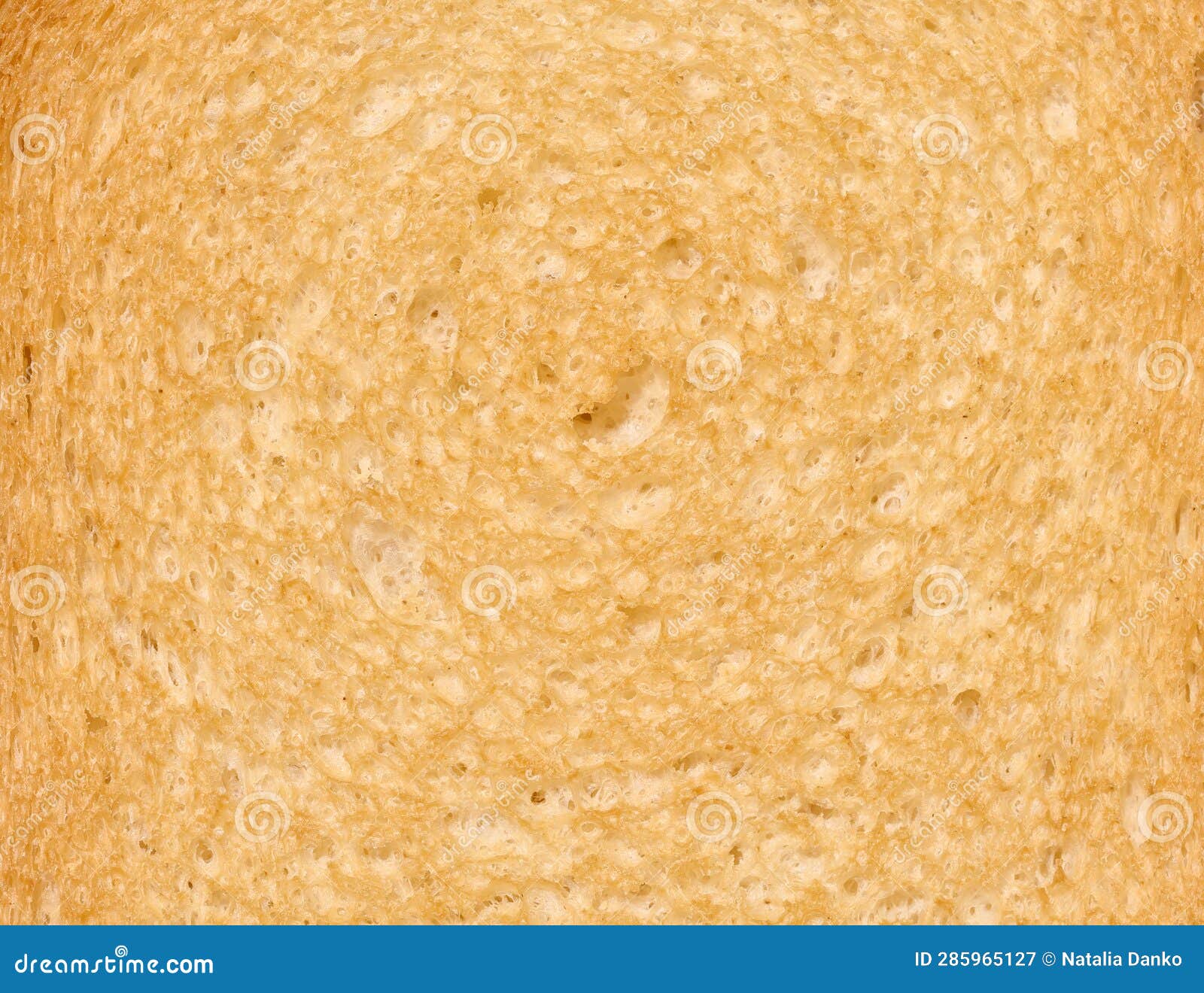 Texture of White Slice of Toasted Bread Stock Image - Image of meal ...