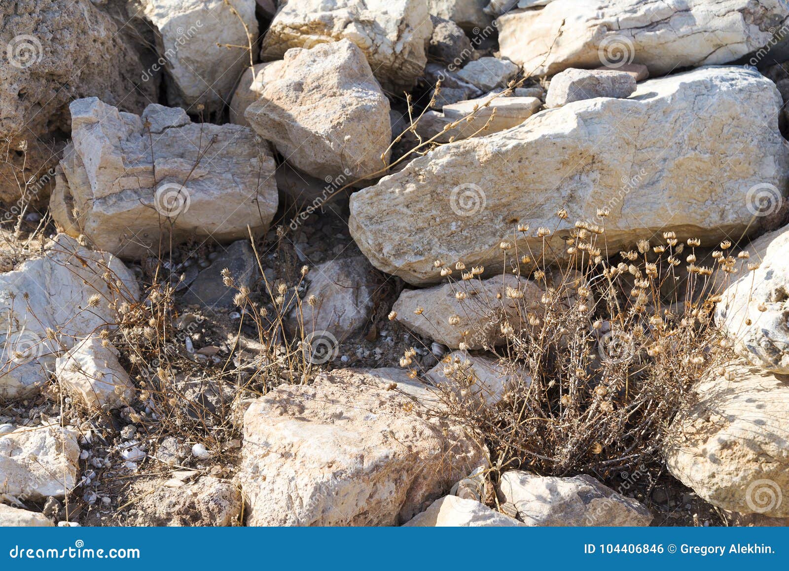 Texture White Stone on the Rocks. Stock Photo - Image of pattern ...