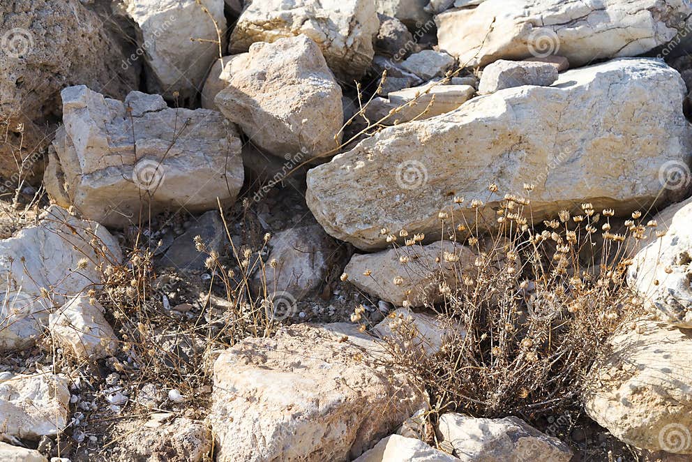 Texture White Stone on the Rocks. Stock Photo - Image of pattern ...