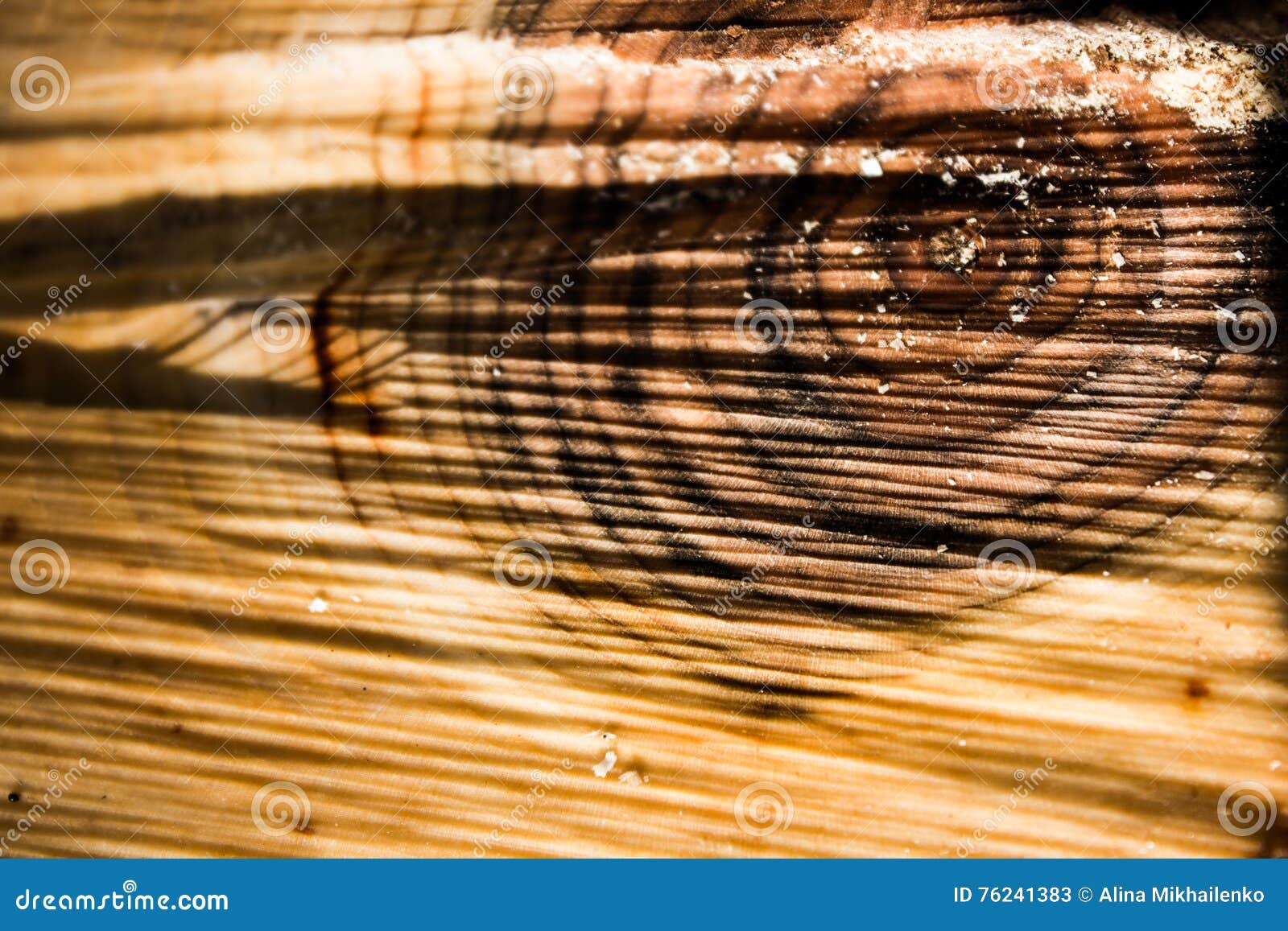 Texture of the Wood, Annual Rings Stock Image - Image of abstract ...