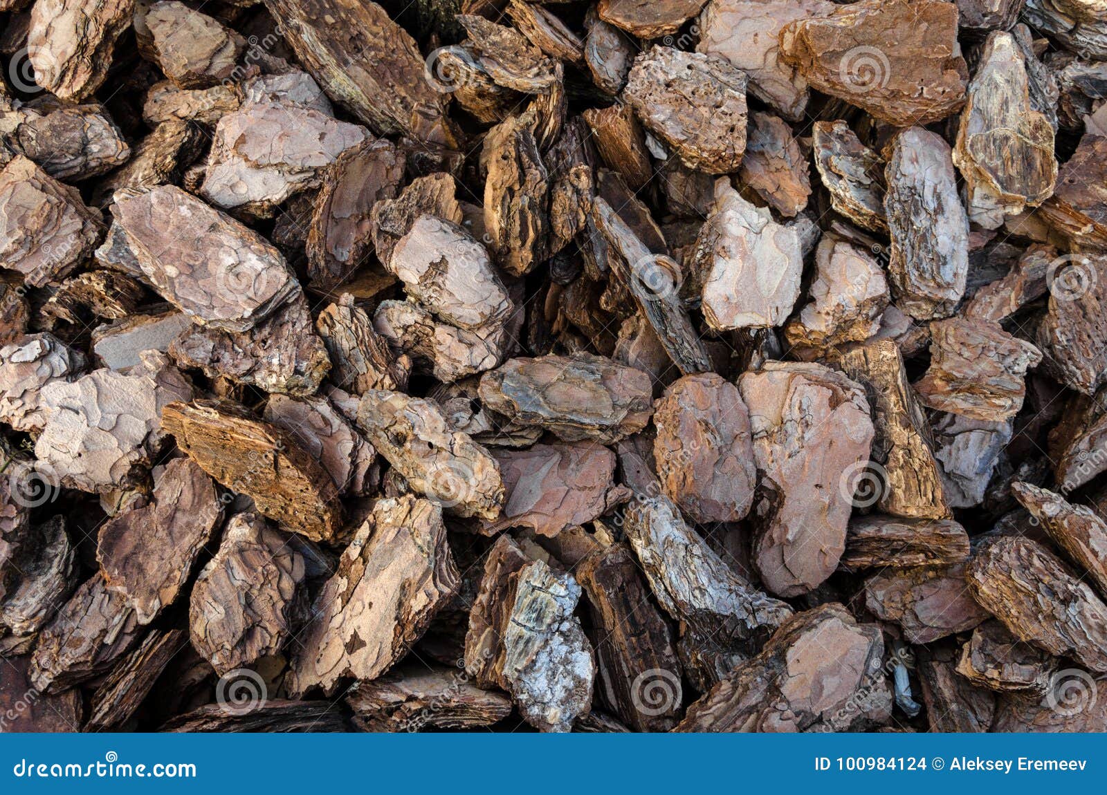 Texture of Wood Bark Pieces Stock Photo - Image of agriculture ...