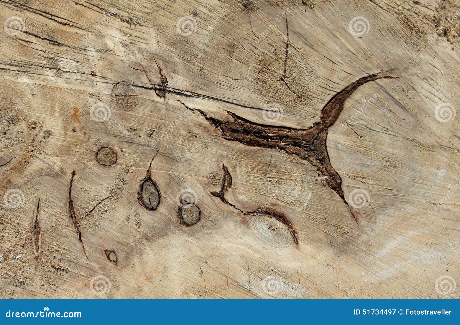 Texture of wood cut stock image. Image of sawed, texture - 51734497