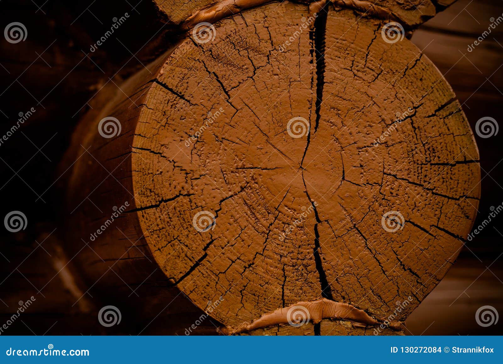 Texture of Wood Cut-off for the Background Stock Photo - Image of flat ...