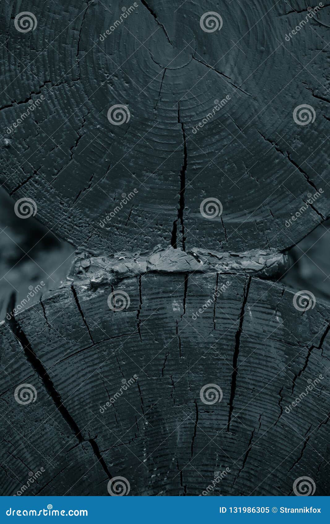 Texture of Wood Cut-off for the Background Stock Image - Image of ...