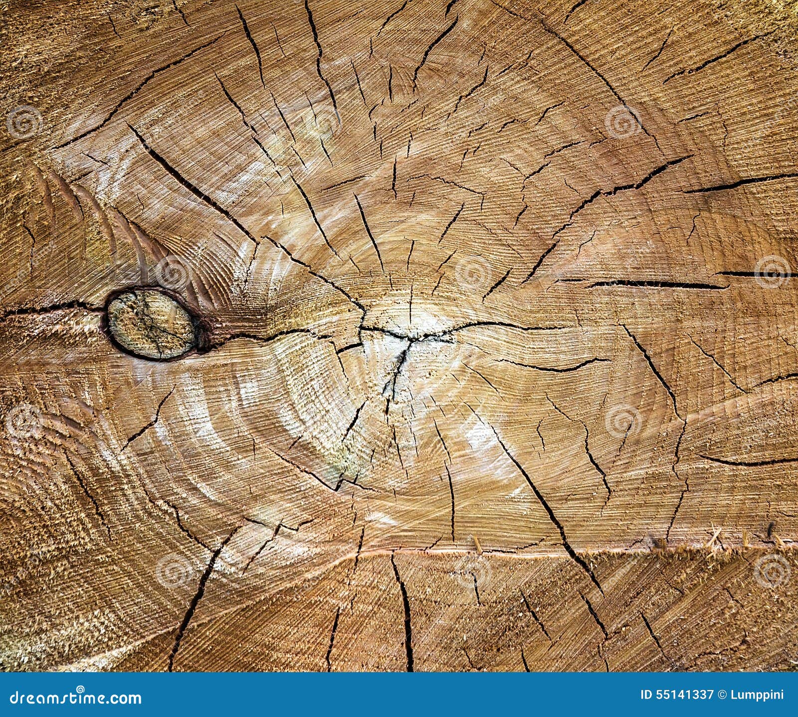 Texture of Wood Frame with Knots Stock Image - Image of wood, years ...