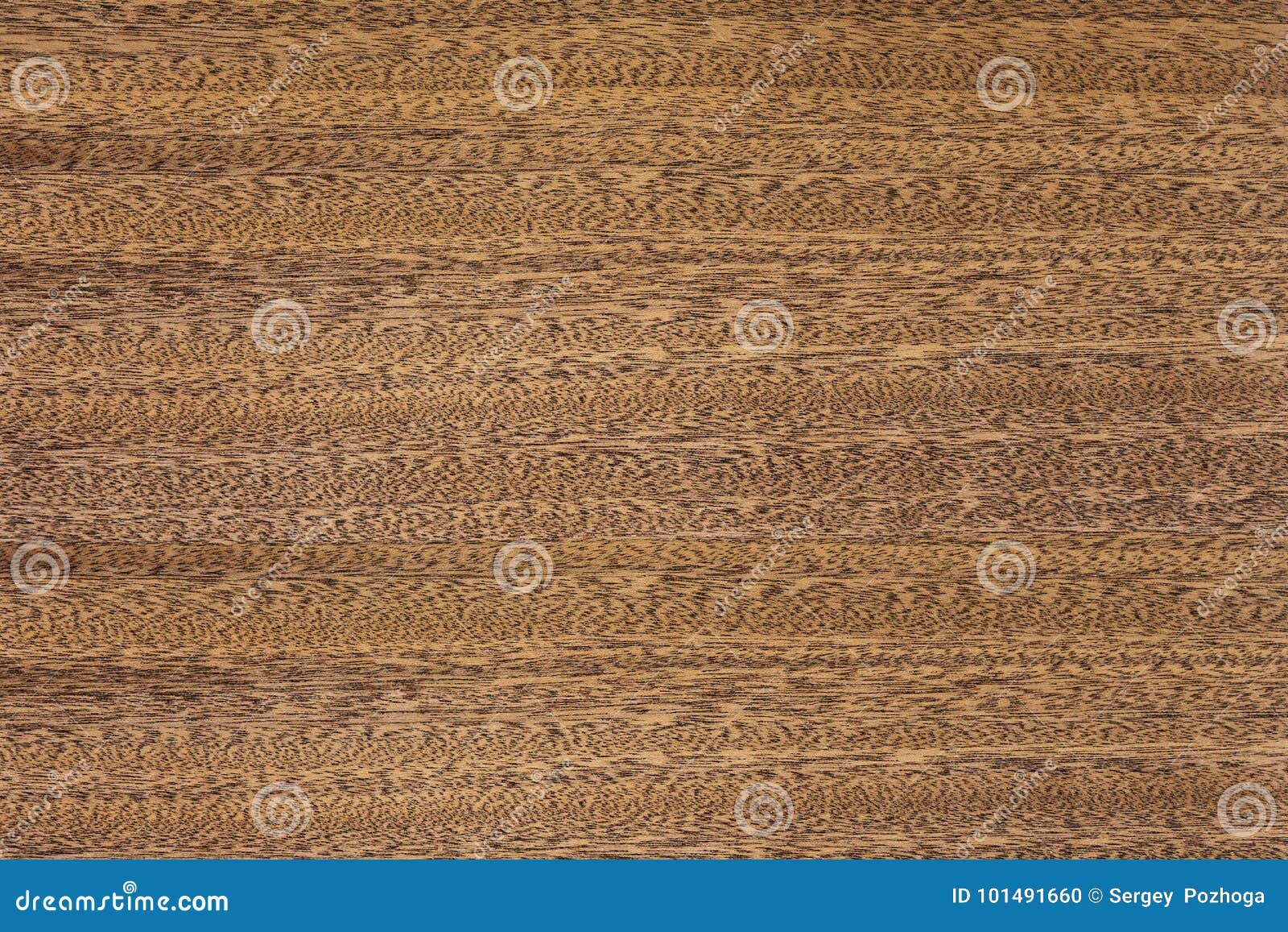 Texture of Wood with a Natural Pattern. Red Tree Stock Photo - Image of ...