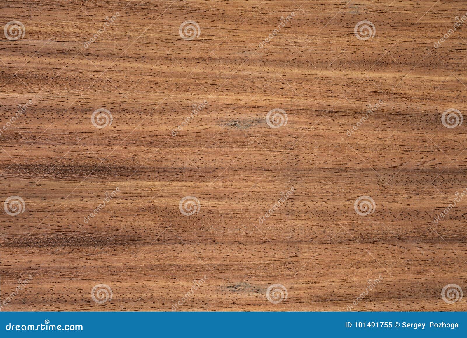 Texture of Wood with a Natural Pattern. Red Tree Stock Image - Image of ...